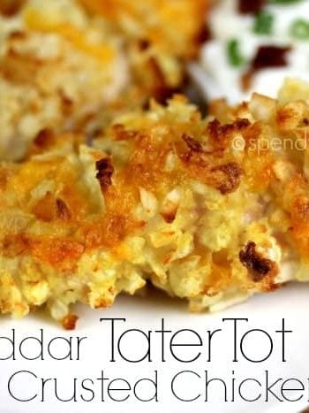 Main Dishes Archives - Page 23 of 26 - Spend With Pennies