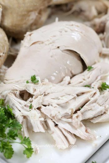 How to Boil Chicken