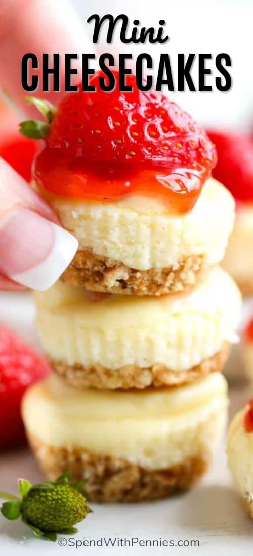 Mini Cheesecakes {With Vanilla Wafers} - Spend With Pennies