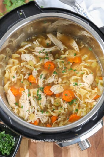 Instant Pot Chicken Noodle Soup