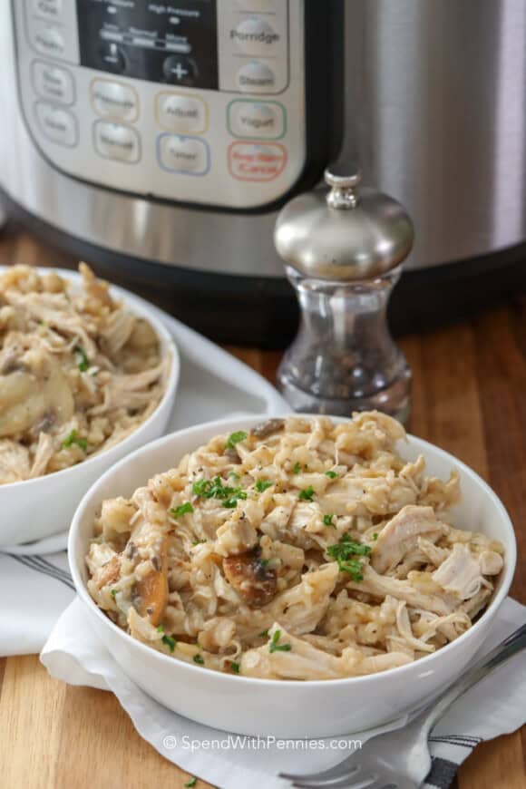 Instant Pot Chicken and Rice