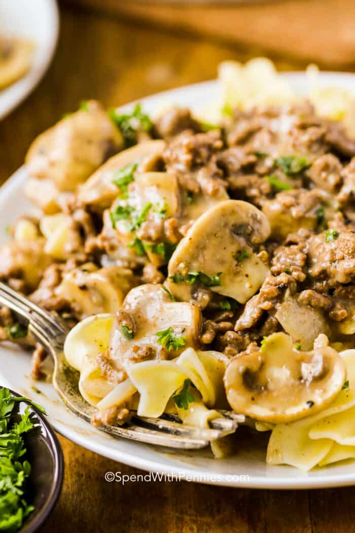 Ground Beef and Noodles No Mushrooms Recipe - Ross Gosented