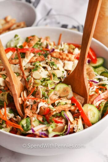 Asian Chicken Salad {with Homemade Dressing!} - Spend With Pennies