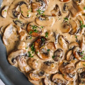 Creamy Mushroom Sauce {Easy & Versatile} - Spend With Pennies