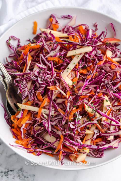 Easy Coleslaw Dressing