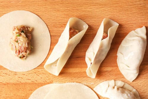 Pork Dumplings (Step-by-Step) - Spend With Pennies