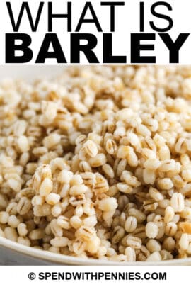 What Is Barley
