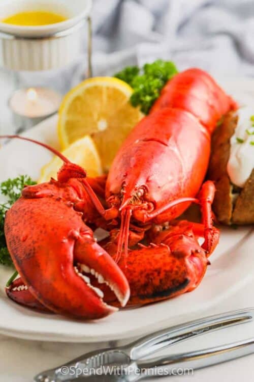 How to Cook Lobster