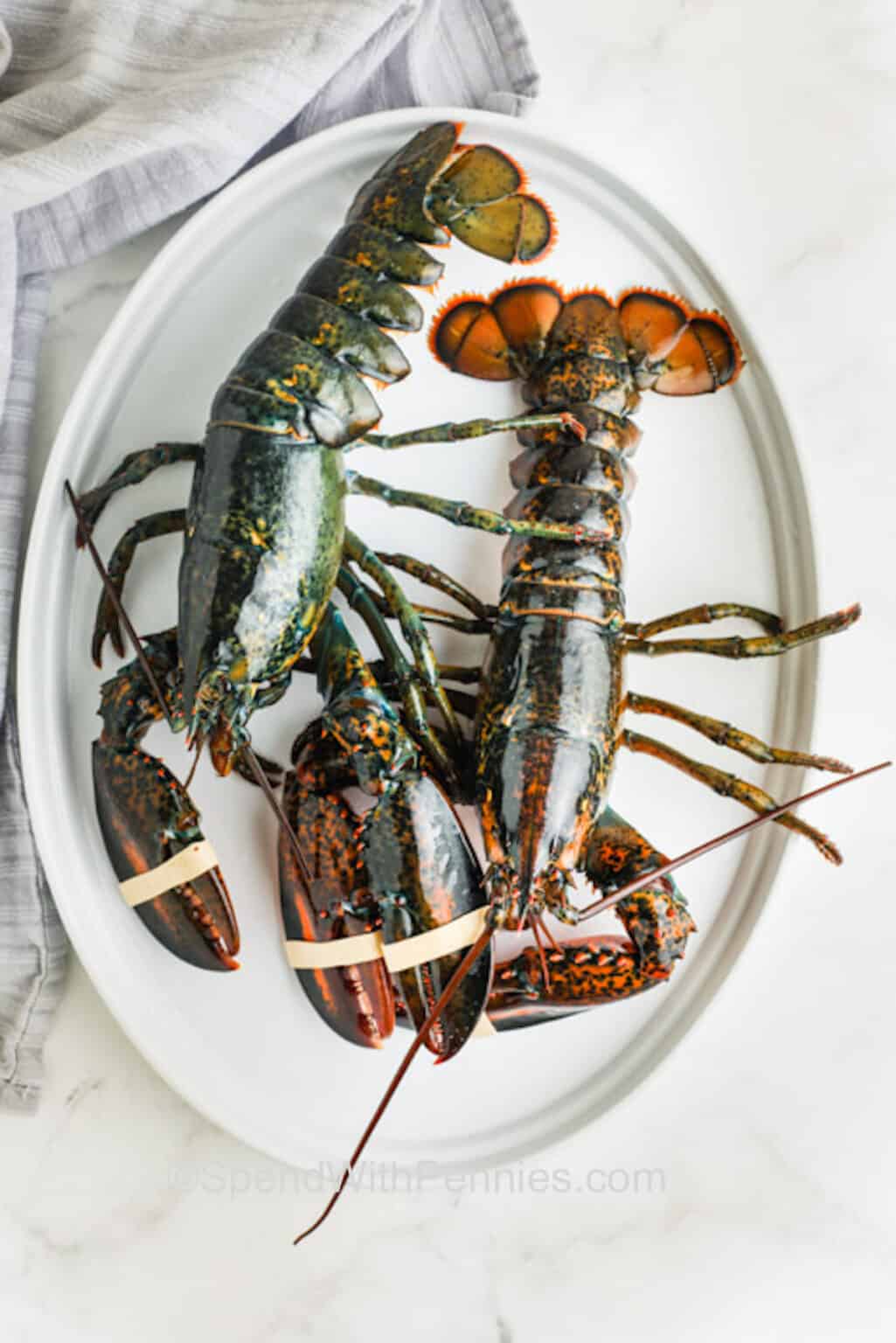 How to Cook Lobster