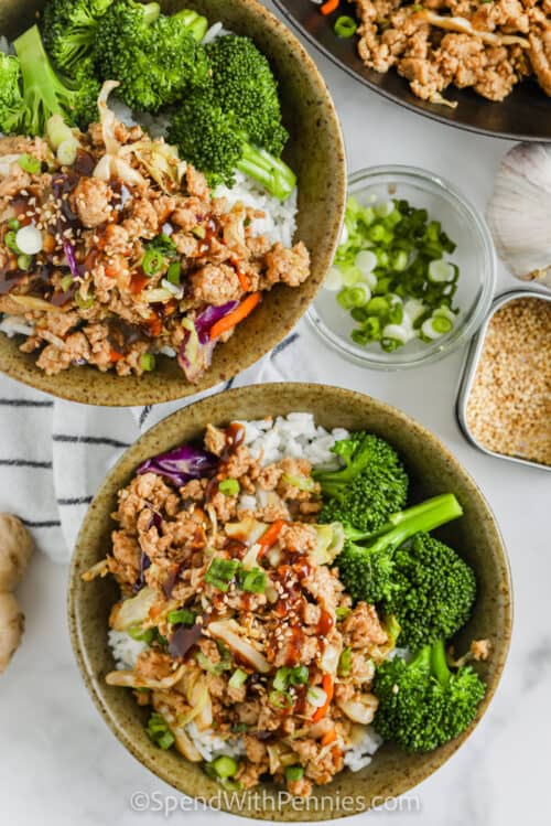 Sesame Ground Turkey Bowls (20 Minute Meal) - Spend With Pennies