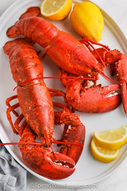 How to Cook Lobster