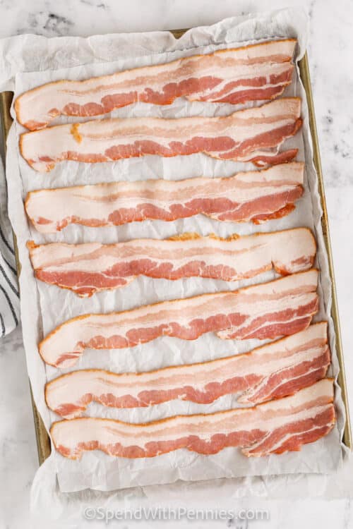 How To Cook Bacon In The Oven - ProductHubSpot