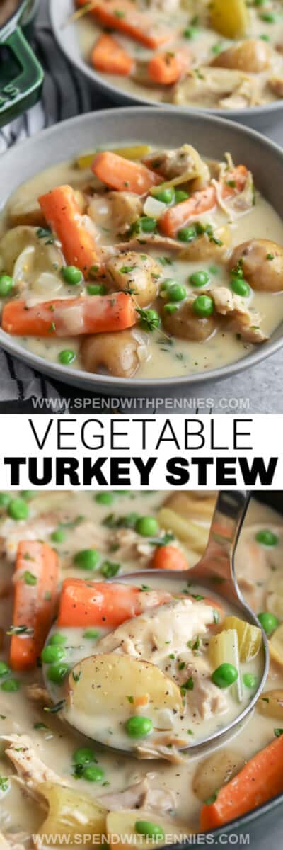 Hearty Turkey Stew (with leftover turkey)