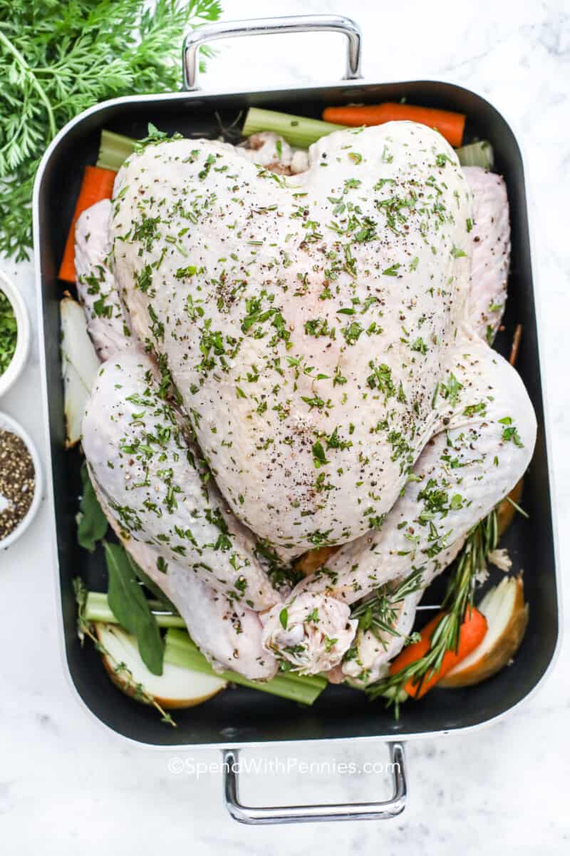 Easy Roast Turkey Recipe (Step by Step) - Spend With Pennies