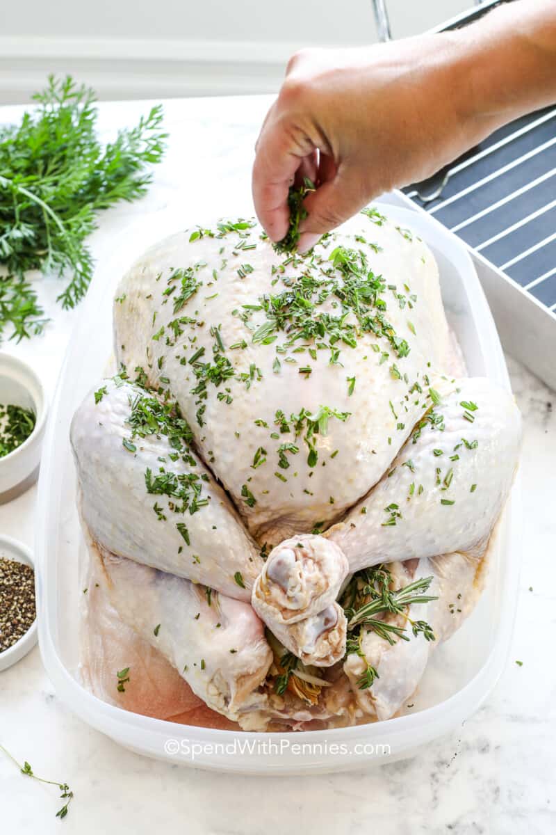 Easy Roast Turkey Recipe (Step by Step) - Spend With Pennies