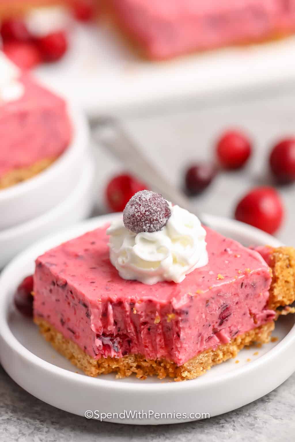 Frozen Cranberry Bars