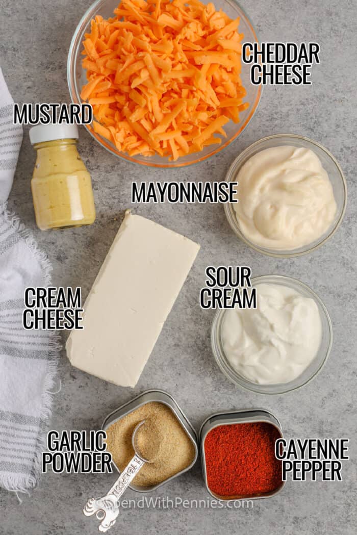 5 Minute Easy Cheese Dip - Spend With Pennies
