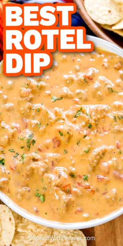 Rotel Dip (Just 4 Ingredients!) - Spend With Pennies