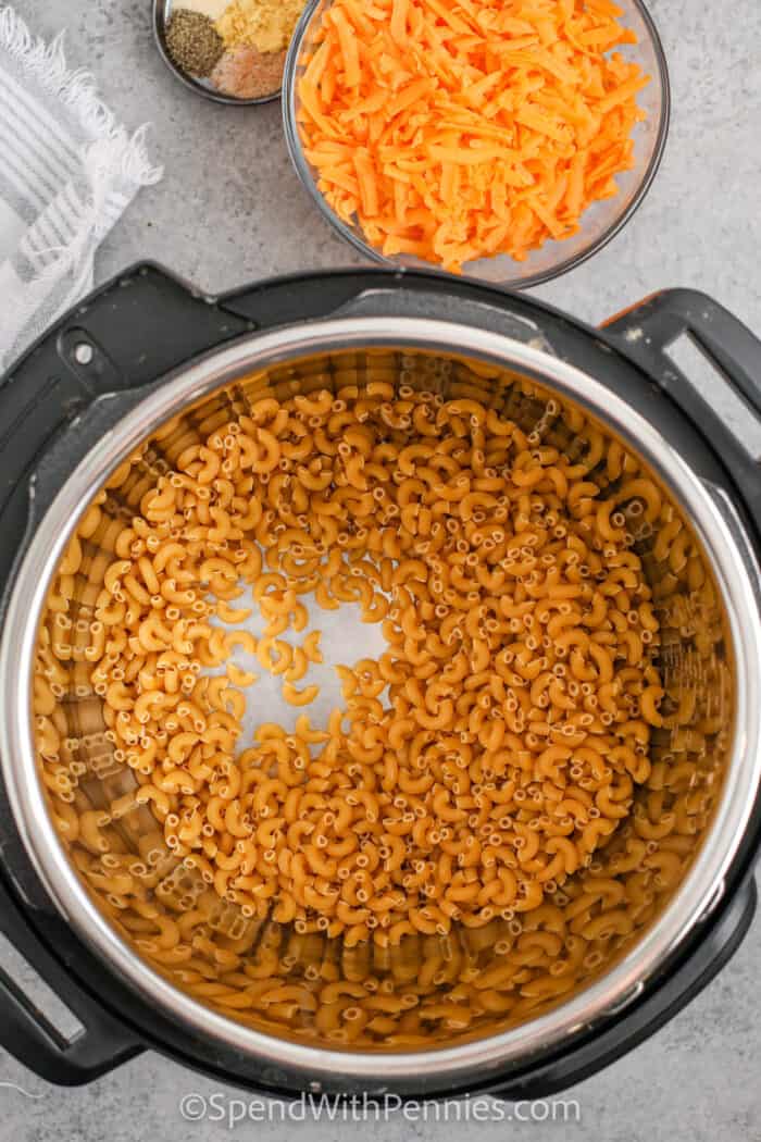Instant Pot Mac and Cheese