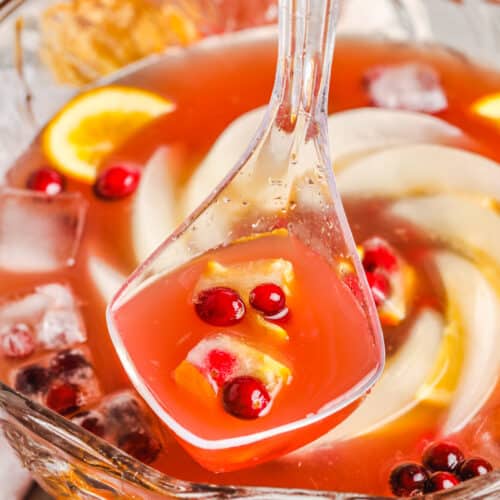 Party Punch - Spend With Pennies