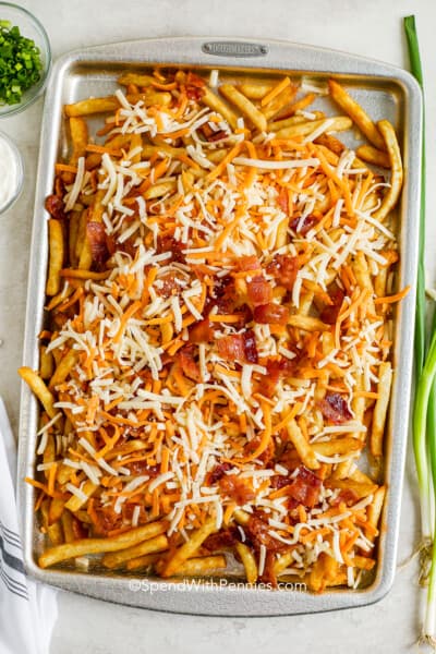 Loaded Cheese Fries