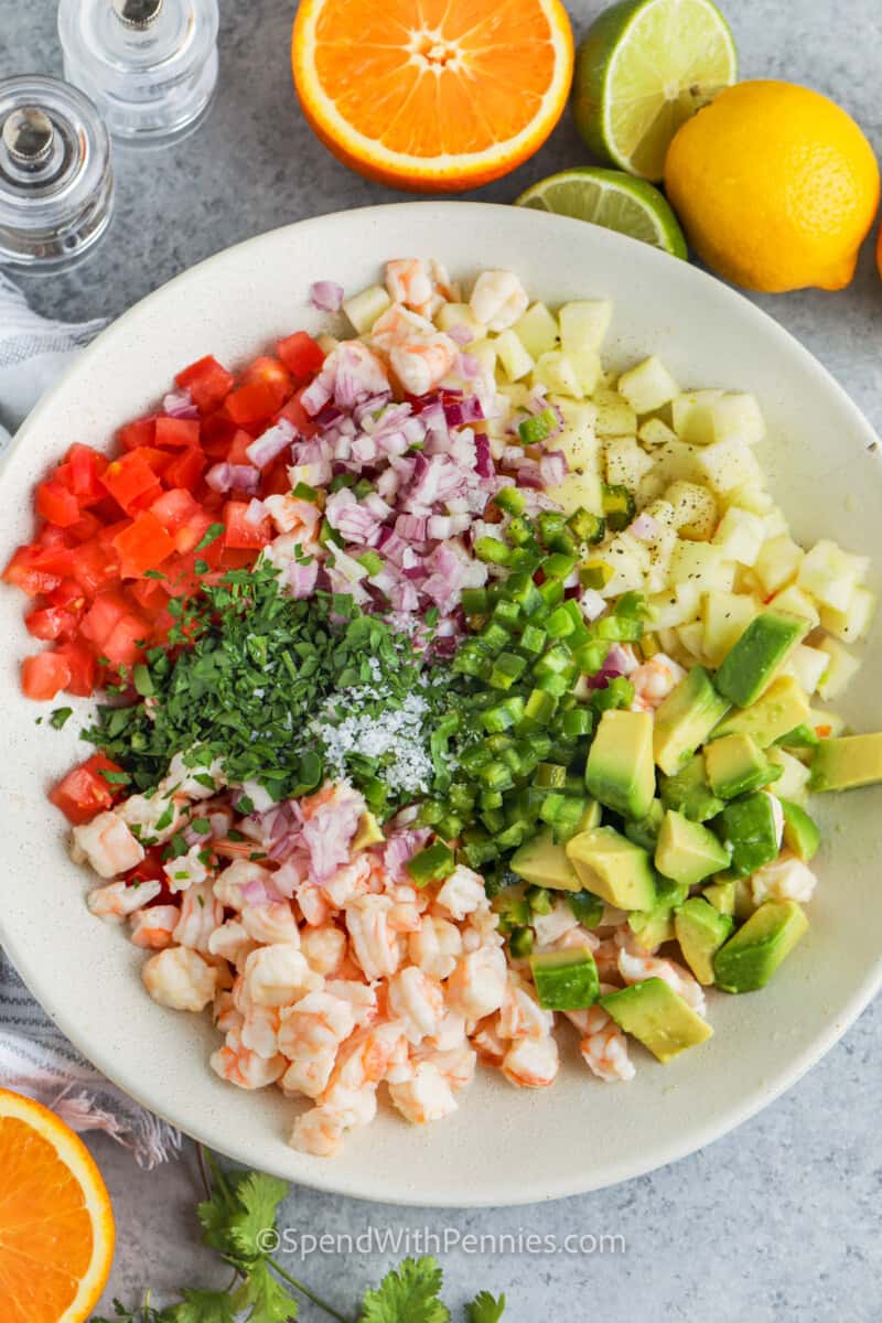 Shrimp Ceviche