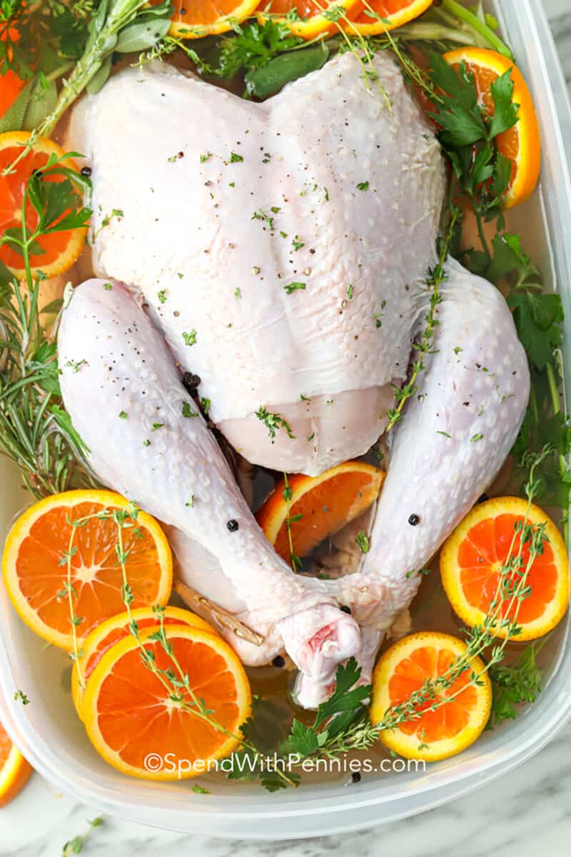 Turkey Seasoning