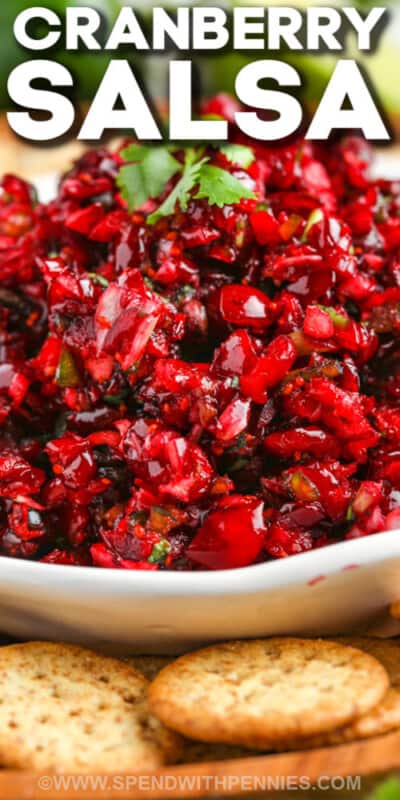 Cranberry Salsa