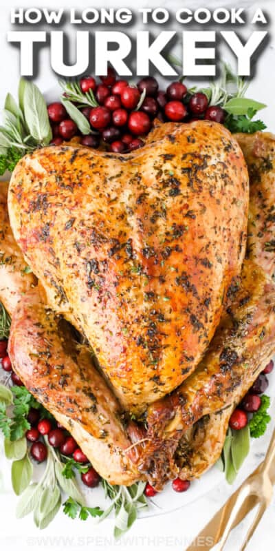 How Long to Cook a Turkey