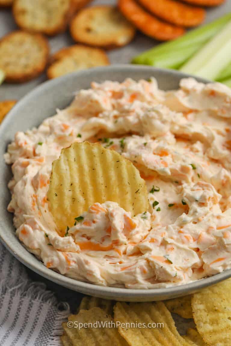 Easy Appetizer Recipes - Spend With Pennies