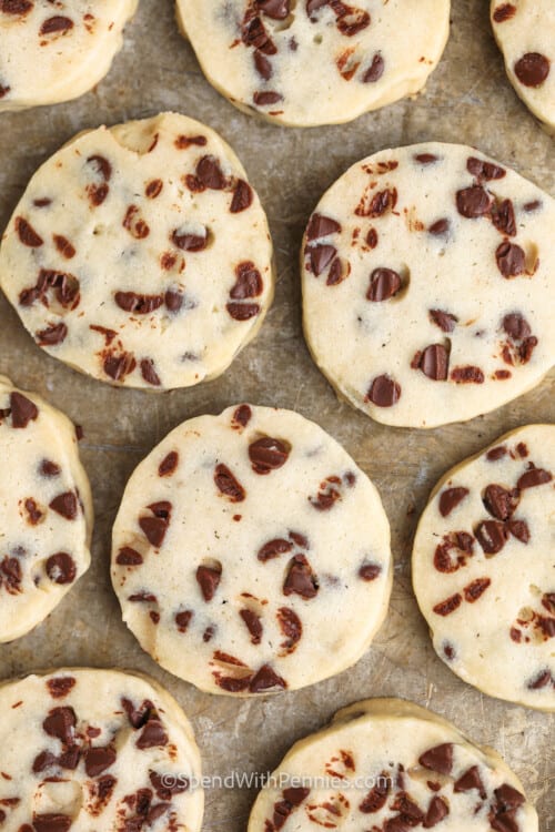 Chocolate Chip Shortbread Cookies