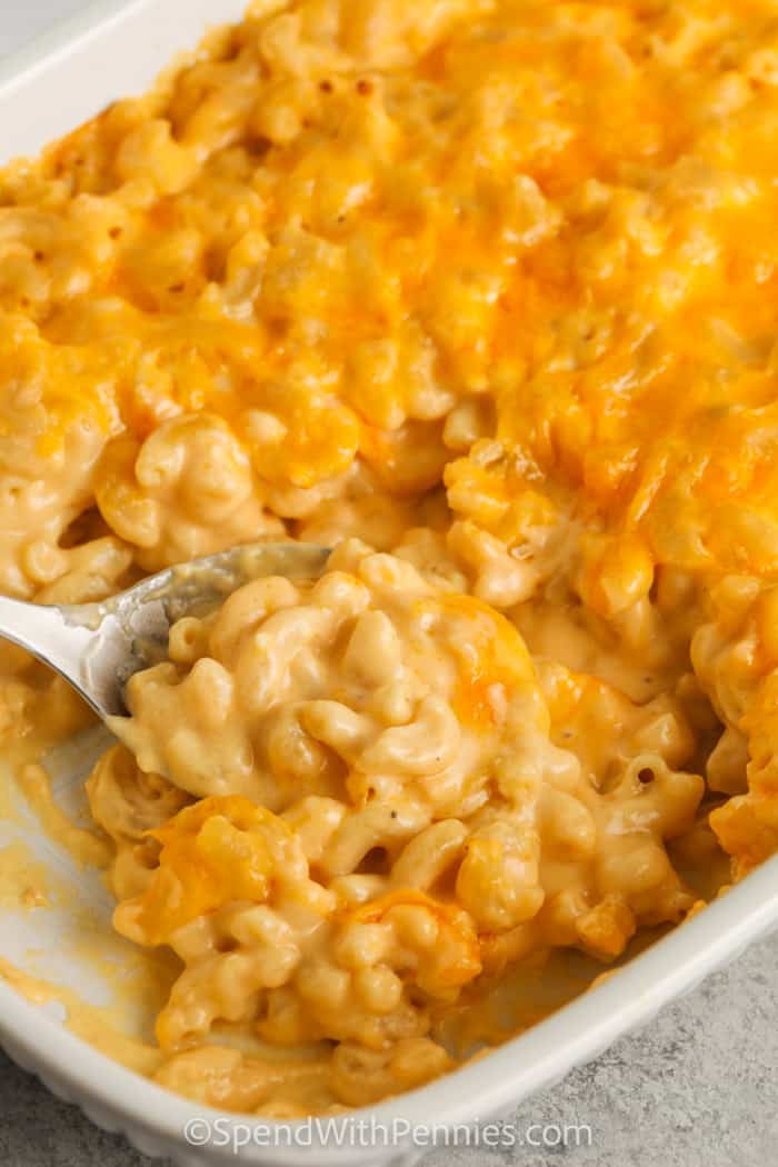 Macaroni and Cheese Casserole Video - Spend With Pennies