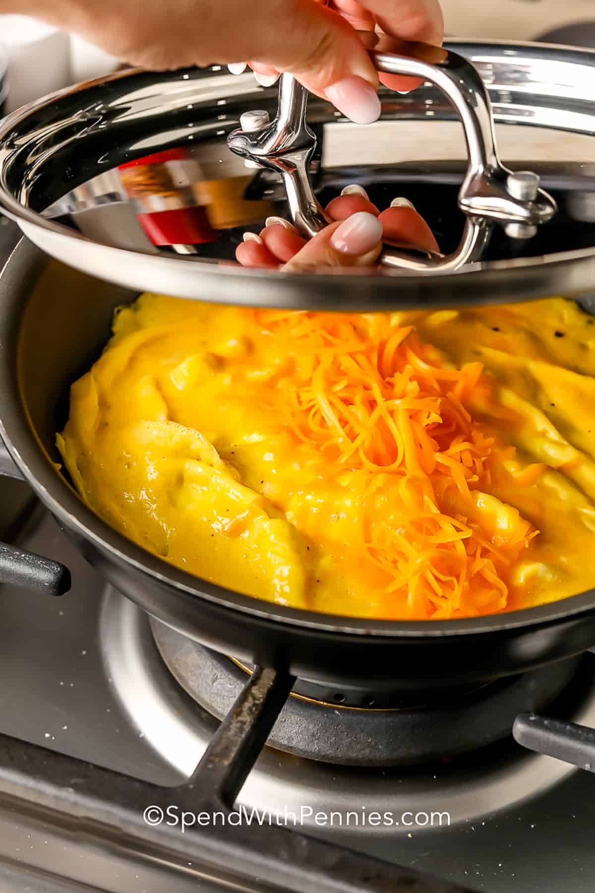 How one can Make an Omelette – CandyLuv