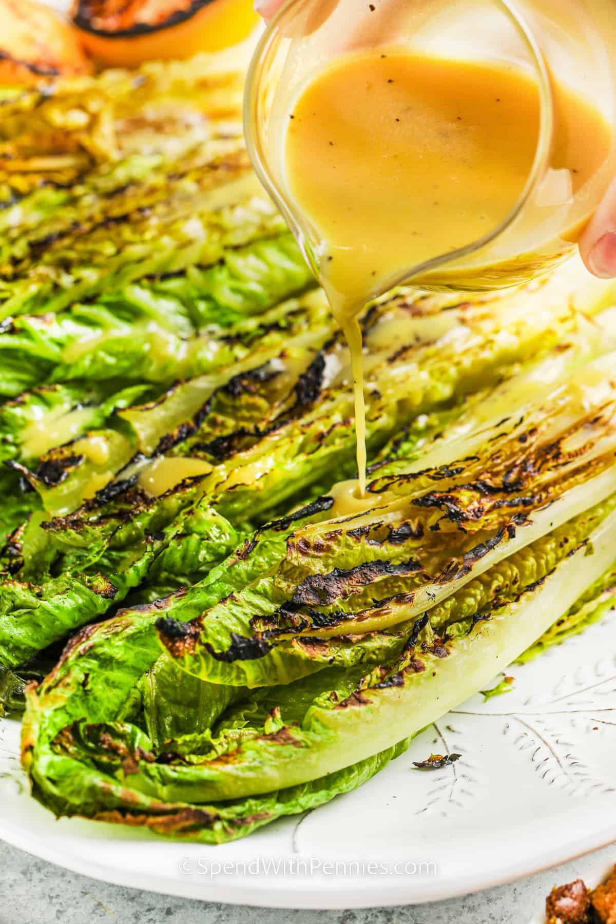 Grilled Romaine