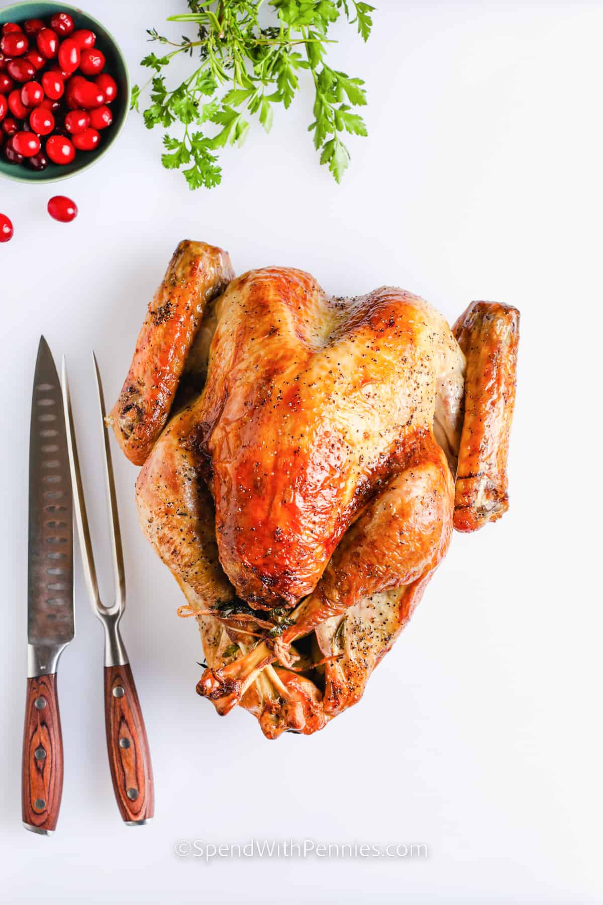 How to Carve a Turkey