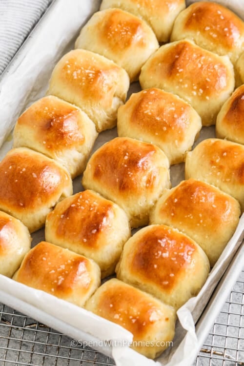 Parker House Rolls