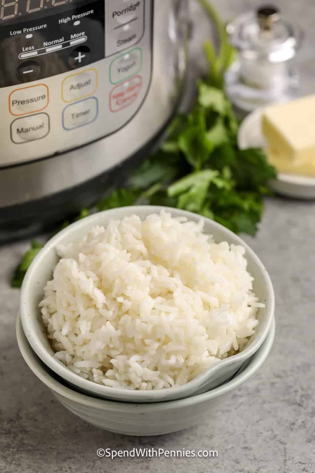 Instant Pot Rice