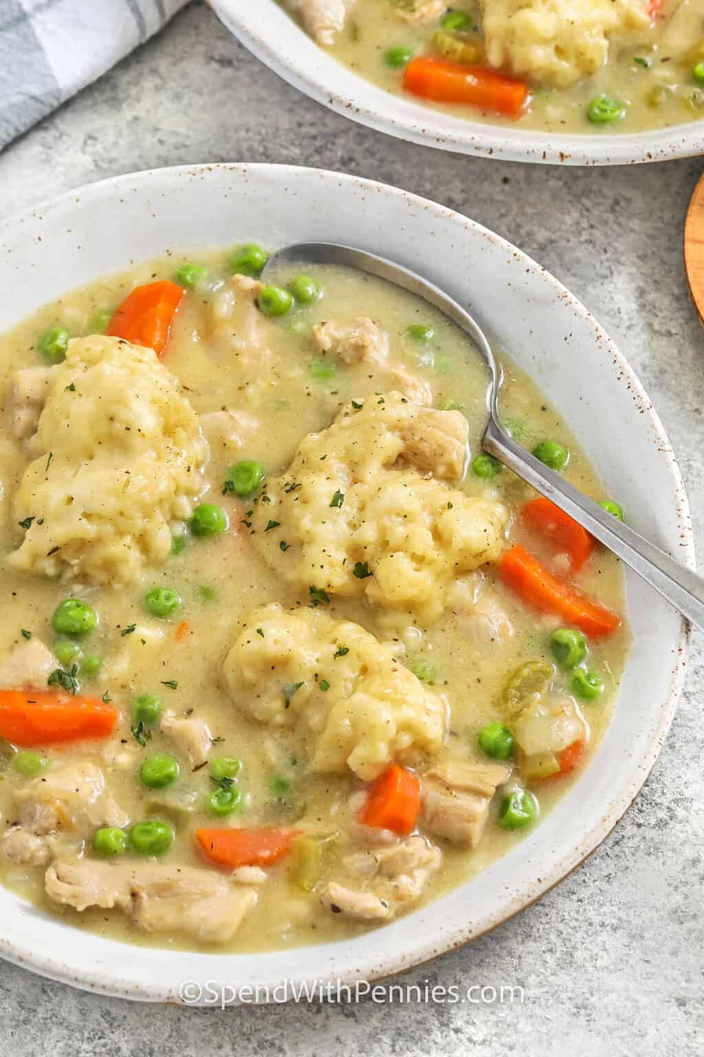 Chicken Dumpling Soup