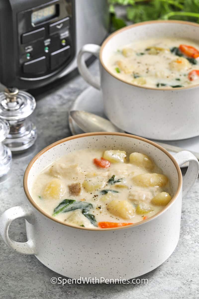Crockpot Chicken Gnocchi Soup