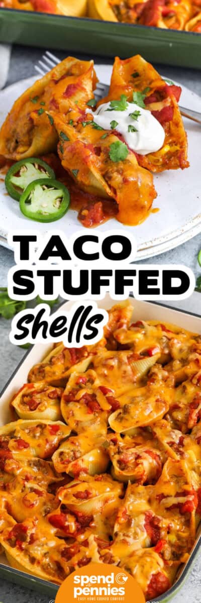 Taco Stuffed Shells - Spend With Pennies