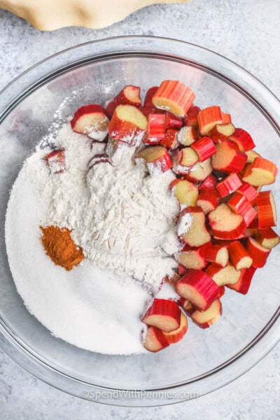 Rhubarb Pie