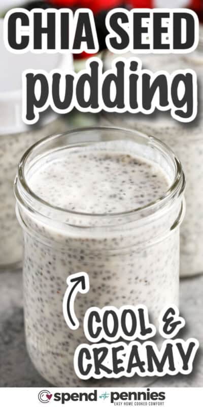Chia Seed Pudding