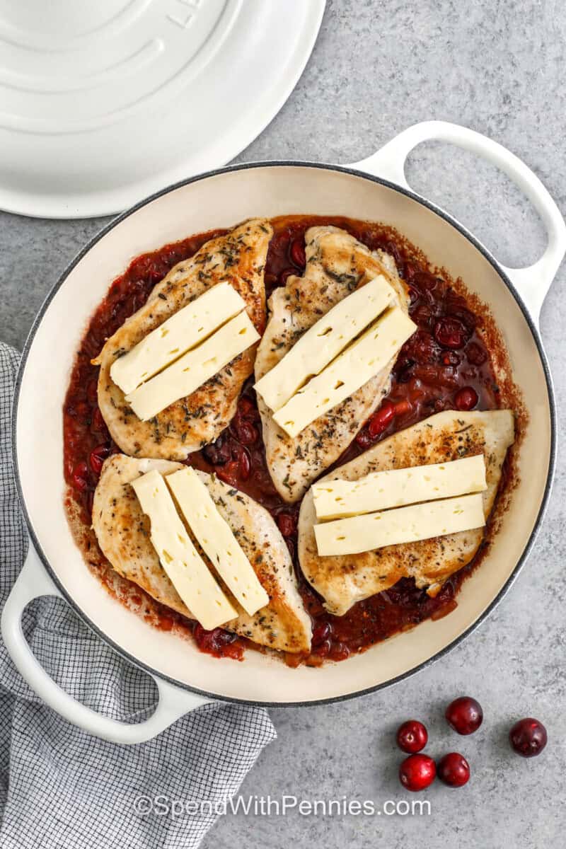 Cranberry Chicken